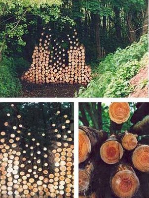 cURioSités viSUeLLes*: LanD aRt = cOrnELia kOnRad