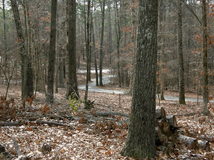Anybody Seen My Focus?: Gwinnett County-Harbins Park: Trail Trip #1 ...