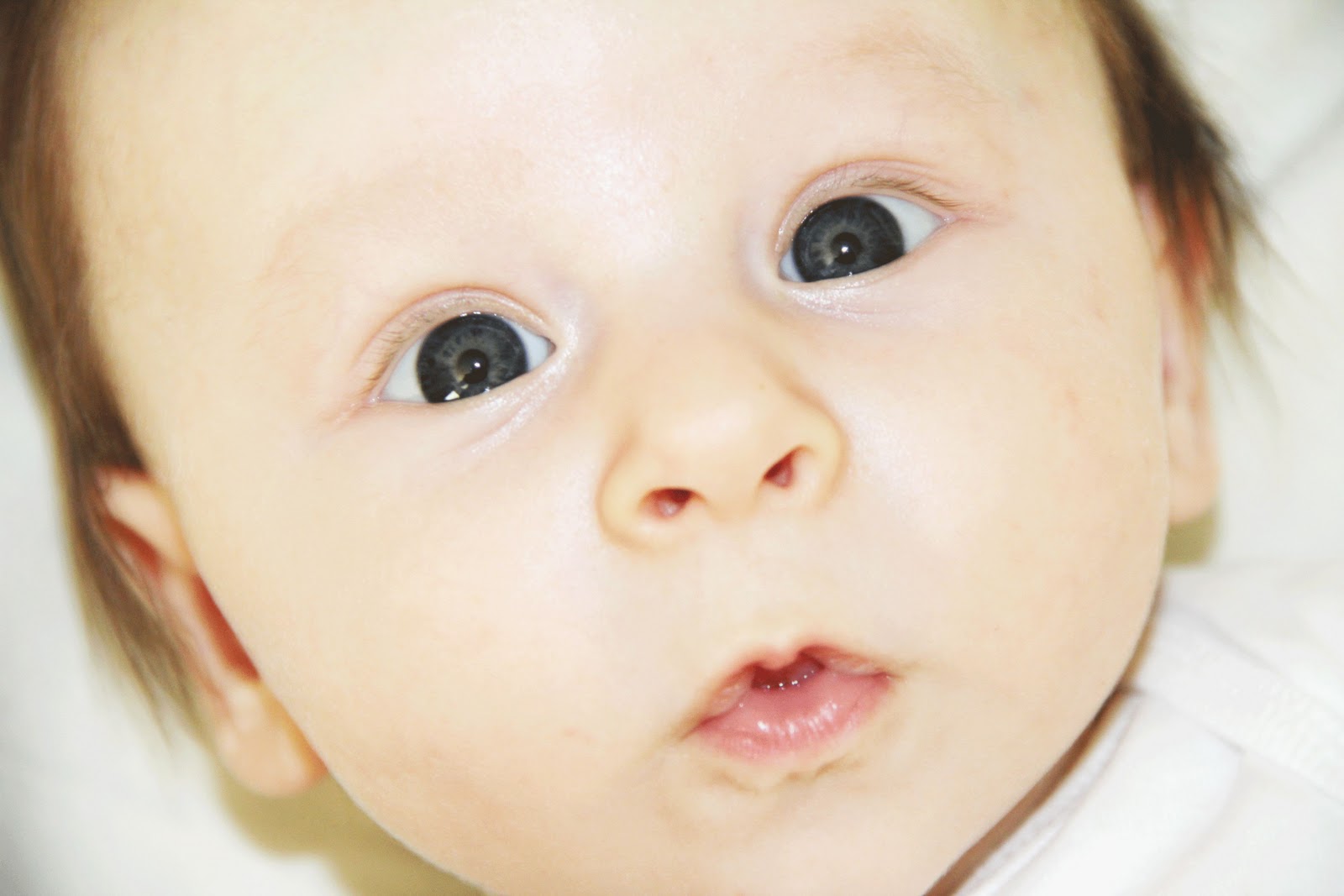 Pearl District: Neutral Baby Nursery - DIY