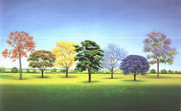 ATPC Benedita Arruda: Seven Trees