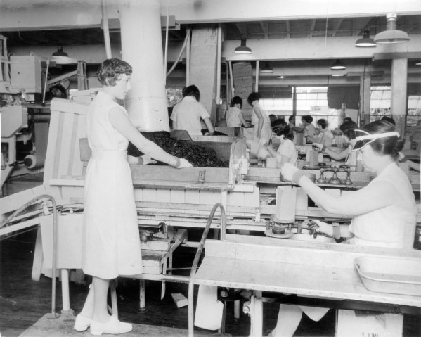 Robert's Vasona Branch Blog: Inside the Packing Houses