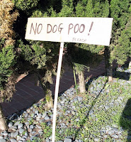 Adventures with a Sensitive Sally