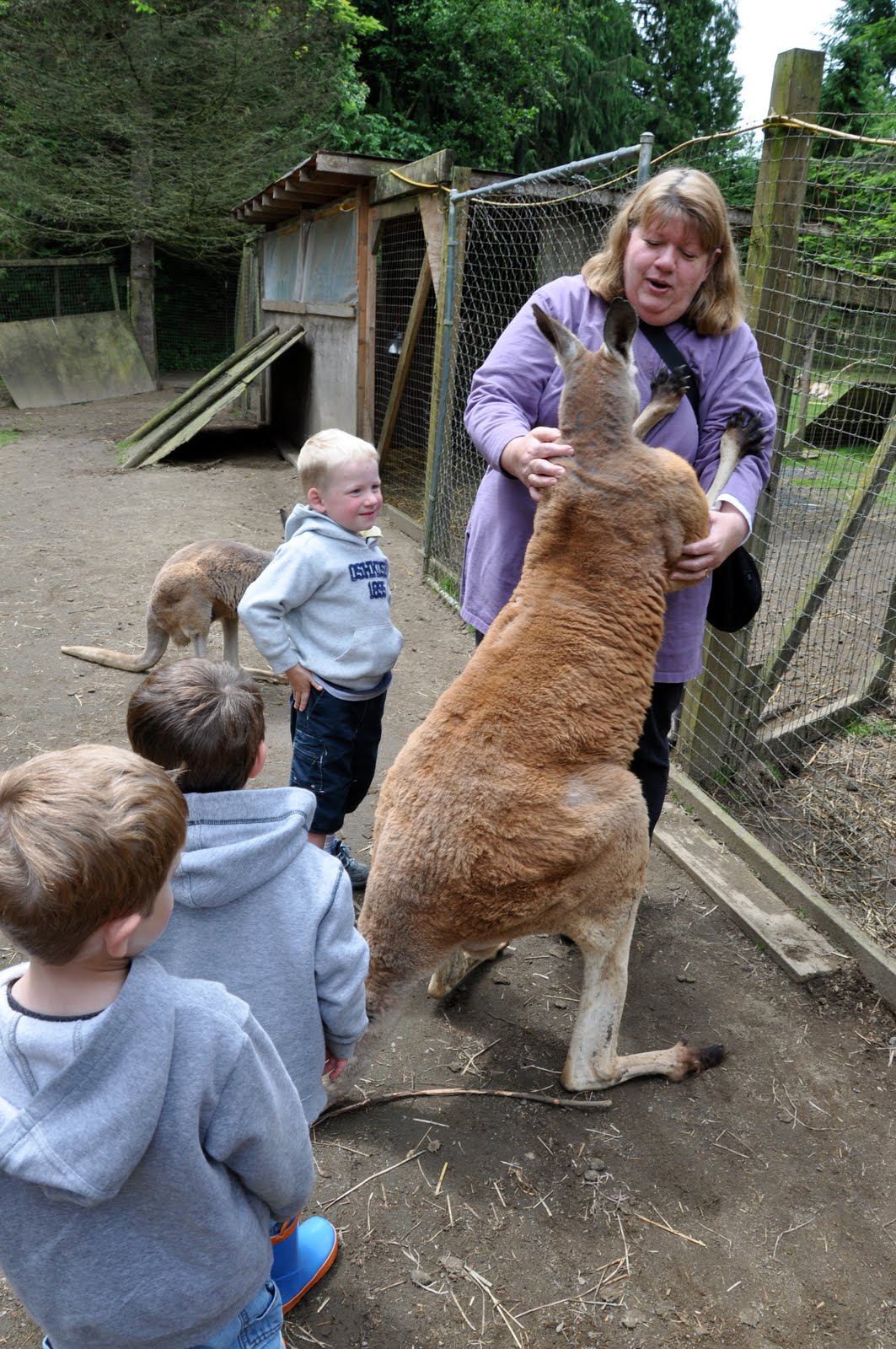 The Siple Family: Kangaroo Farm