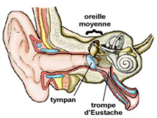 Les impacts du bruit (environnement et santé): L'exposition au bruit ...