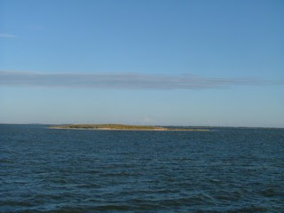 Triangle Naturalist: ROADTRIP: Near the Mouth of the Cape Fear River ...