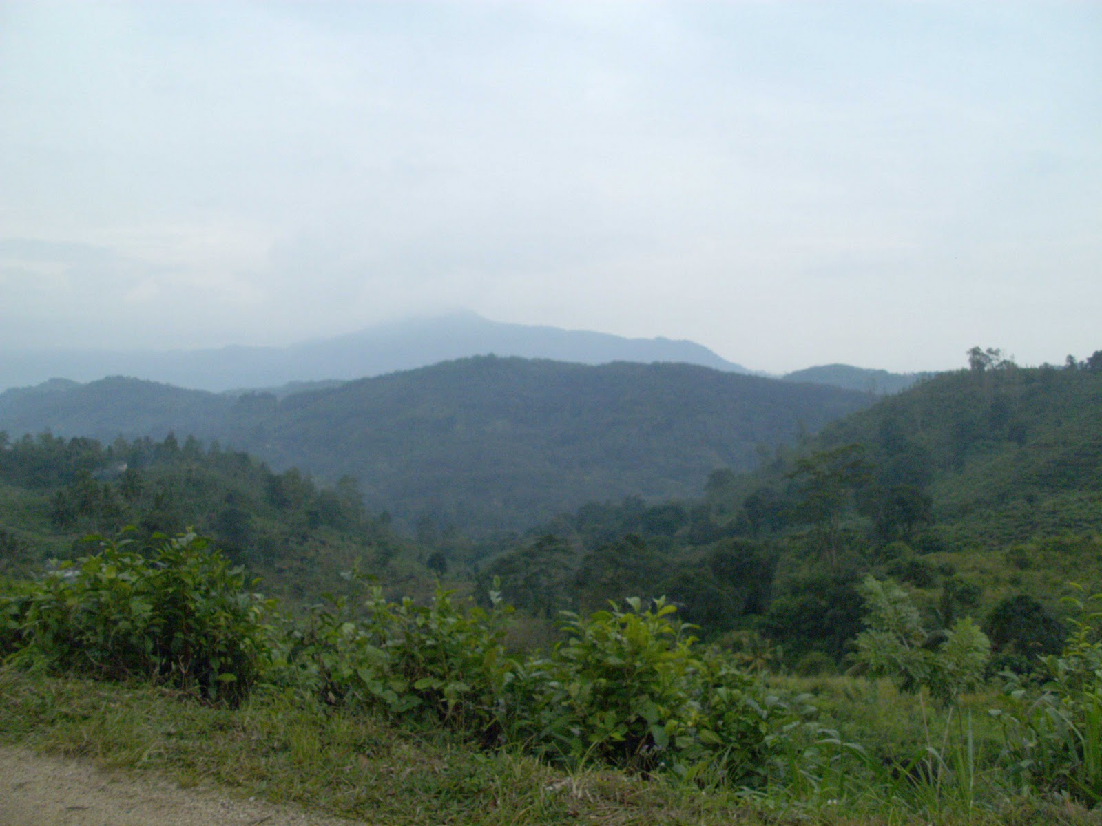 Images of Sri Lanka on blogspot.com: The Galaboda valley, Rathnapura ...