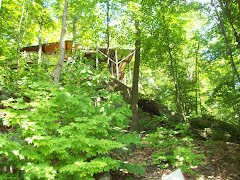 Custom Decks: Our New Desizn Cottage Bunkie