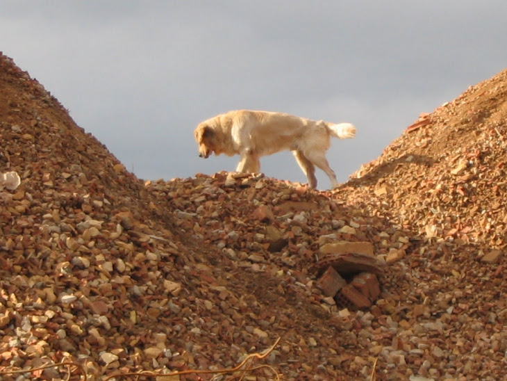 GERCA: EL MÉTODO ARCÓN: UNA METODOLOGÍA EFECTIVA EN EL SALVAMENTO DE VIDAS.