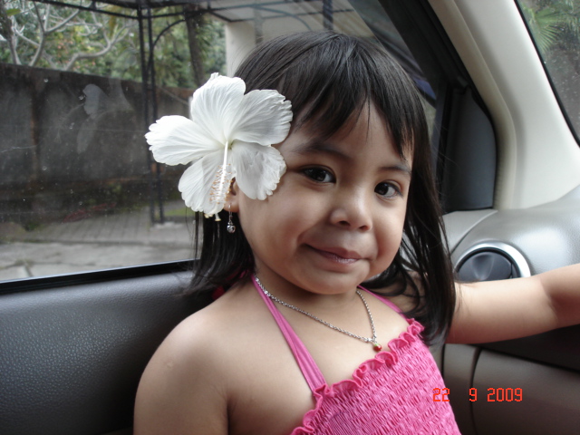 h e r m a n k r i s t a n t o: Carissa Halena