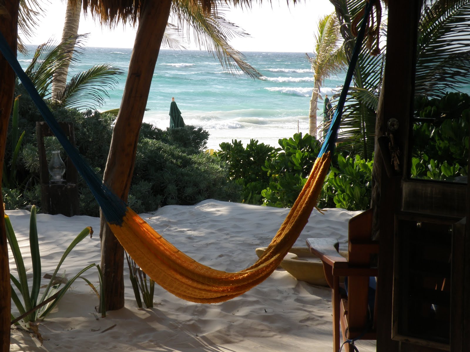 Double Portion: The Cure - Parshat Tazriah-Metzorah