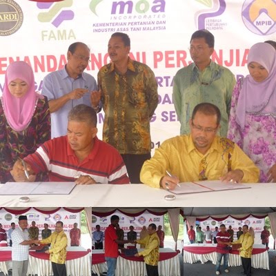 MAJLIS MENANDATANGANI PERJANJIAN JUALBELI PROJEK LADANG KONTRAK DAERAH ...