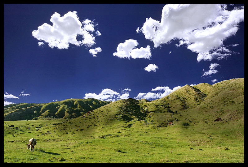 Bogdan Tanase Photography: Milka Reloaded