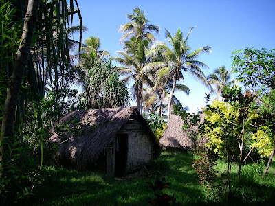 Mata'irea: May 12, 2008 - Anelghowhat Village, Aneityum/Anatom Island ...