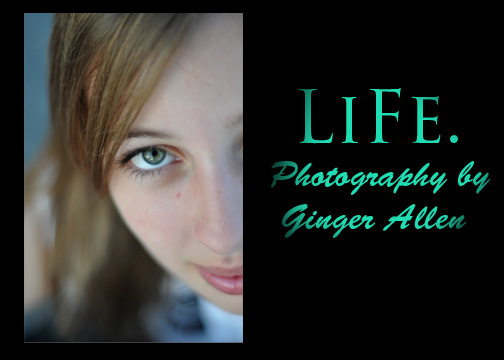 Photography by Ginger Allen