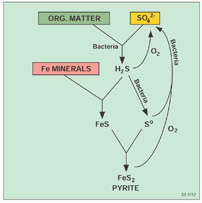Sundar Raj: Biological Sulfate Reduction (BSR)