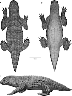 Superoceras: Simosuchus and the trouble with "living fossils".
