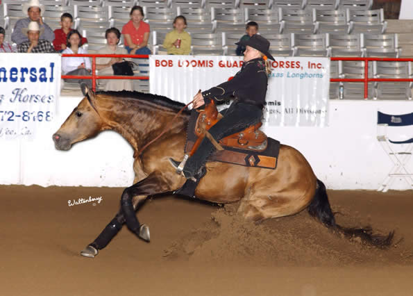The Perfect Horse: Bridleless riding