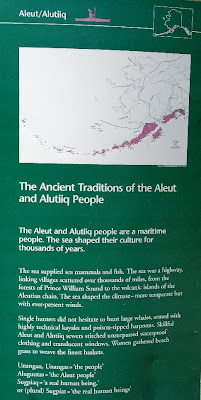 Speidel's Adventures: Anchorage, July 1, 2009