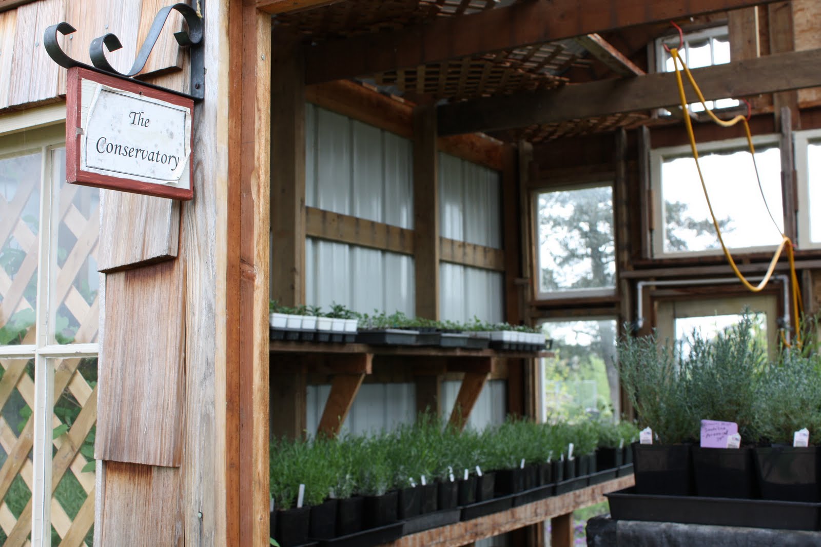 Seattle Tall Poppy: Farm Tour: Red Barn Lavender