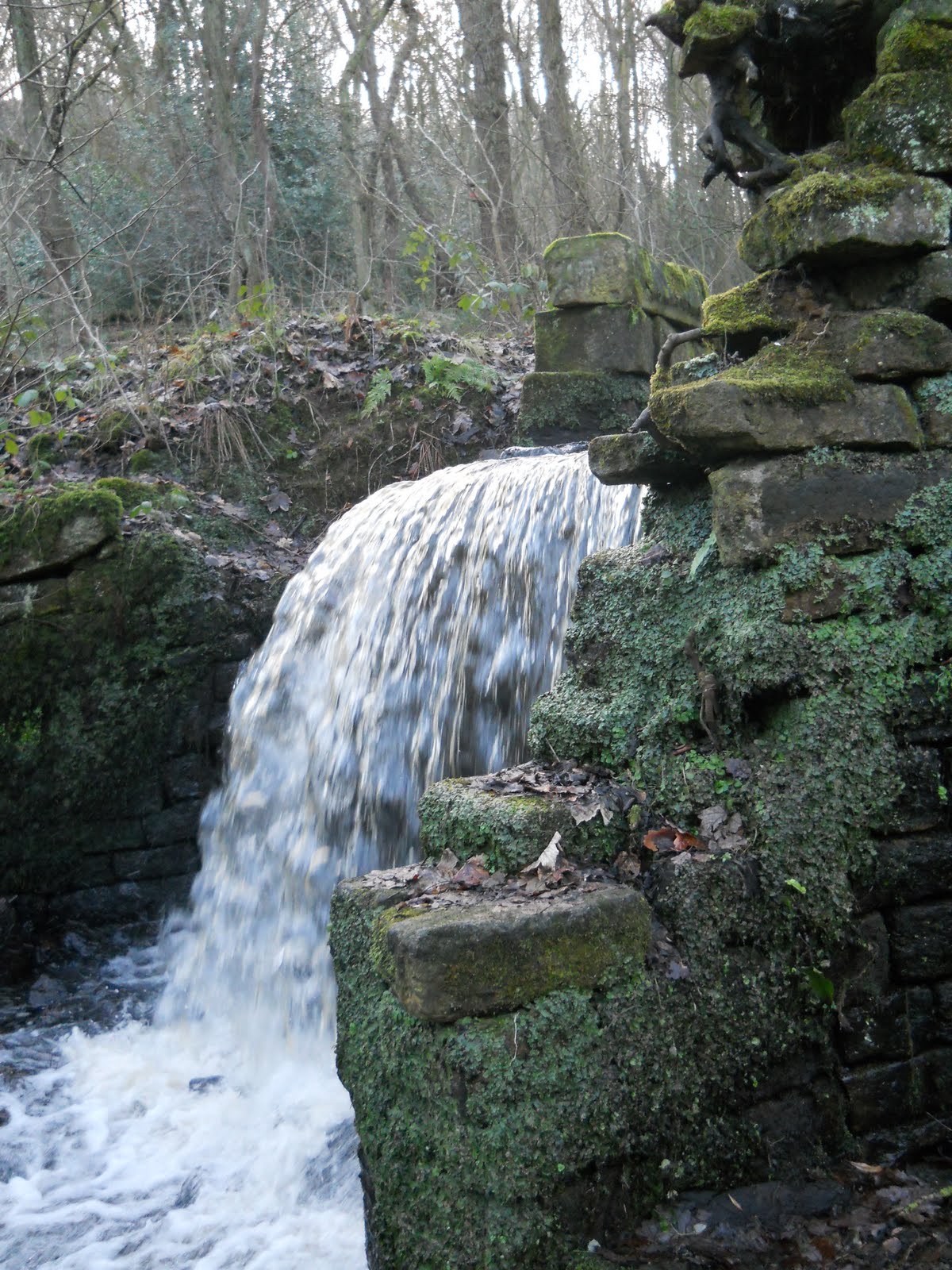 Heart Shaped: Rivelin Valley
