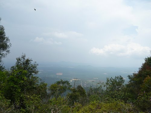 Gunung Lambak