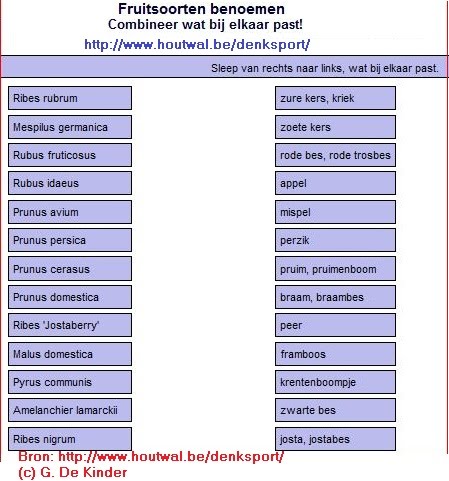 Inheems- en uitheems fruit: Interactief fruitnamen leren ...
