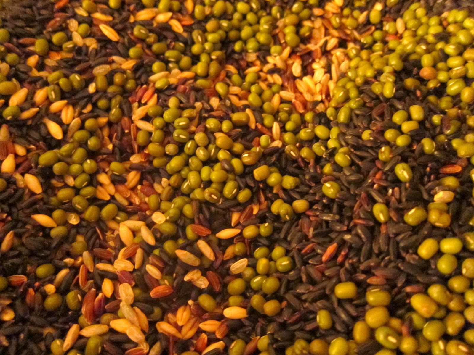 Bentobird: mixed grains and autumn veggies bento