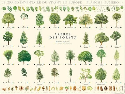 The Red Chair Blog: French Nature Charts