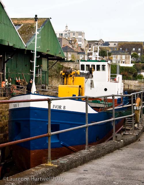 Through the Gaps! - Newlyn Fishing News: Muchos mackerel. Cornwall UK ...