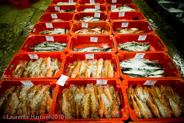 Through the Gaps! - Newlyn Fishing News: Monday's market - as ever, top ...