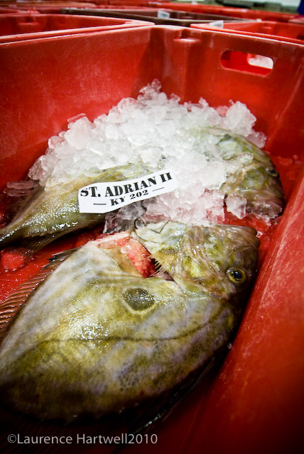 Through the Gaps! - Newlyn Fishing News: 01/11/10 - 01/12/10 Cornwall ...