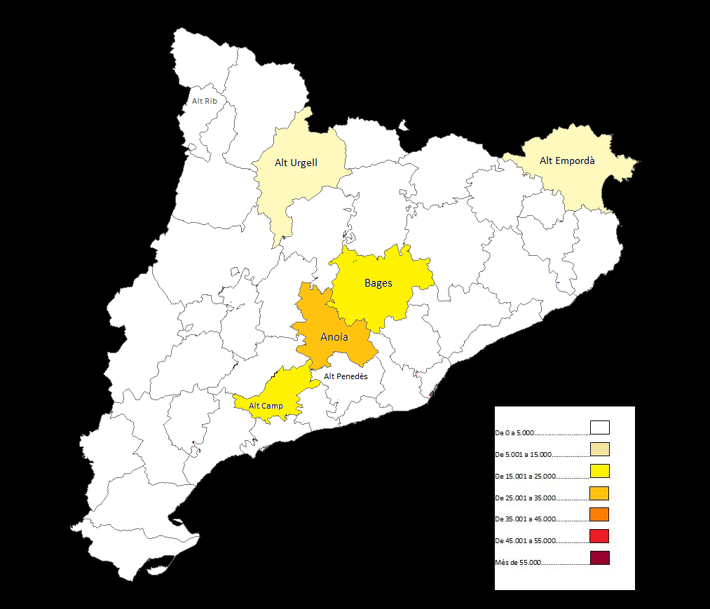 Catalans i Aragonesos: Bages: resultats i comentari