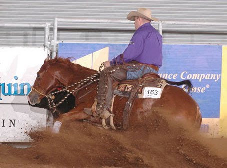4Corners Ranch: Lots of fine horses!