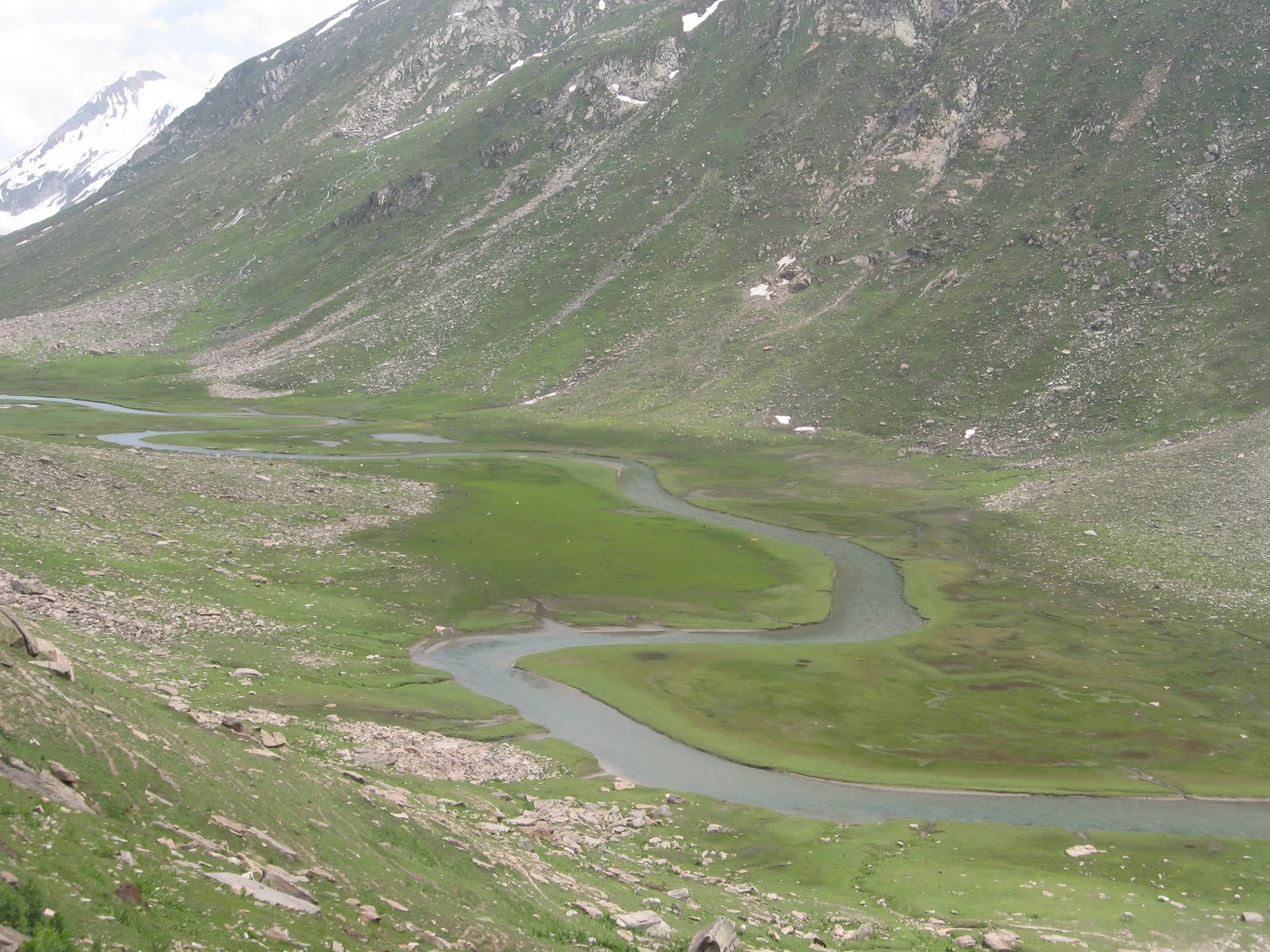 Lovely Pakistan: Noori Top
