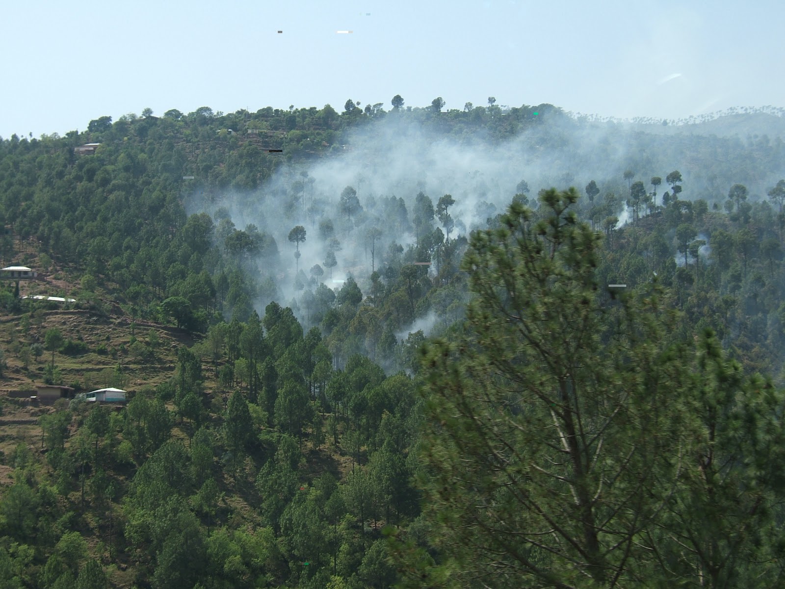 Lovely Pakistan: Murree