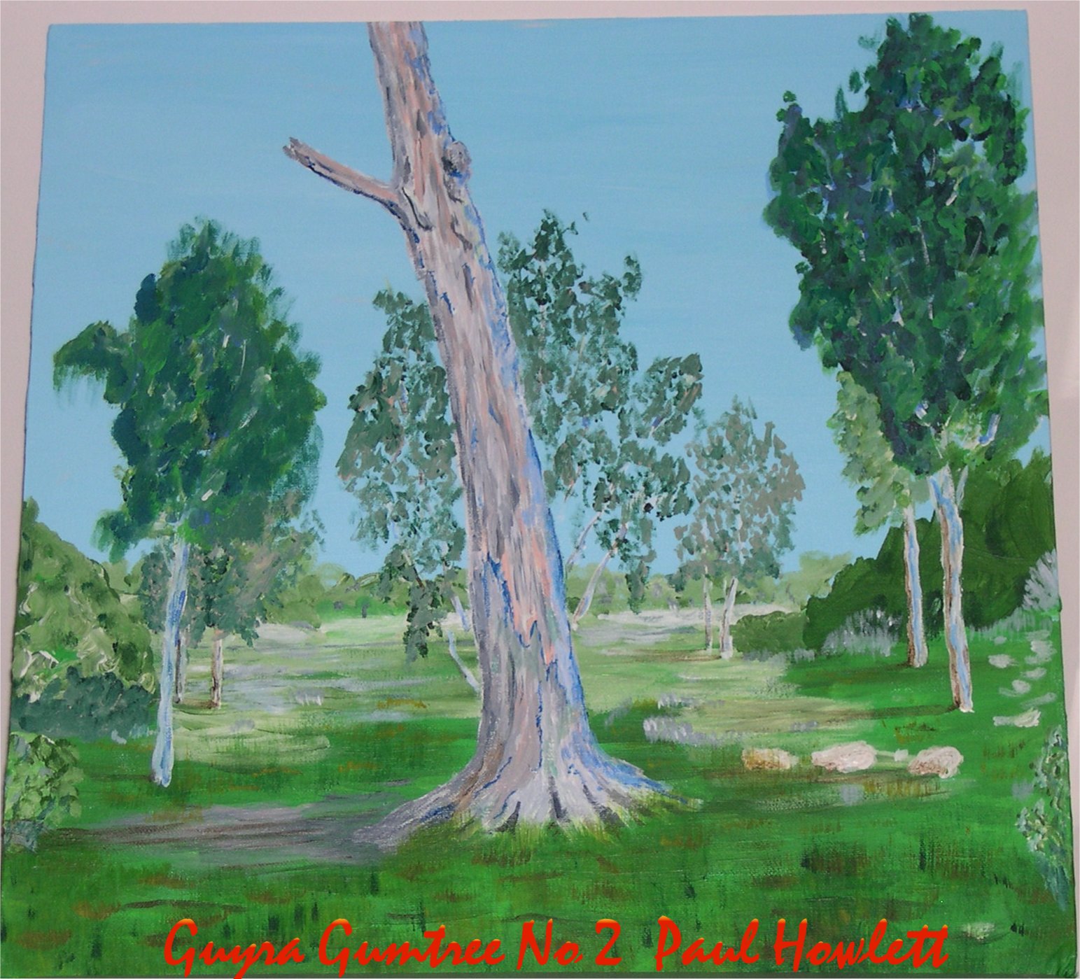 Paul's Pen n Paint: Guyra Gum Tree No 2