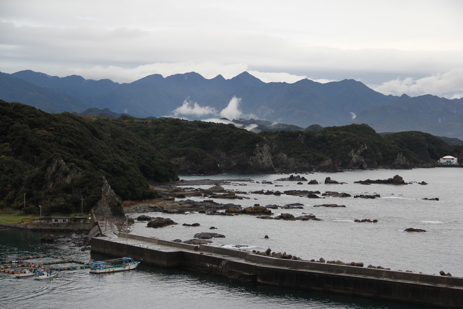 Ocean Activist: A Day in the Life of a Cove Guardian in Taiji