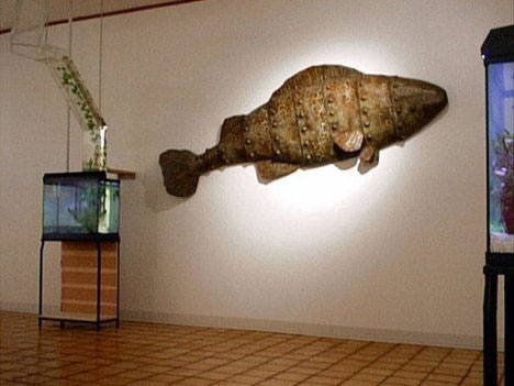 The Stylish Fish Highway Aquarium