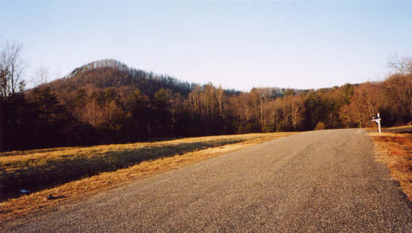 Phantoms and Monsters - Real Cryptid Encounter Reports - Fortean ...