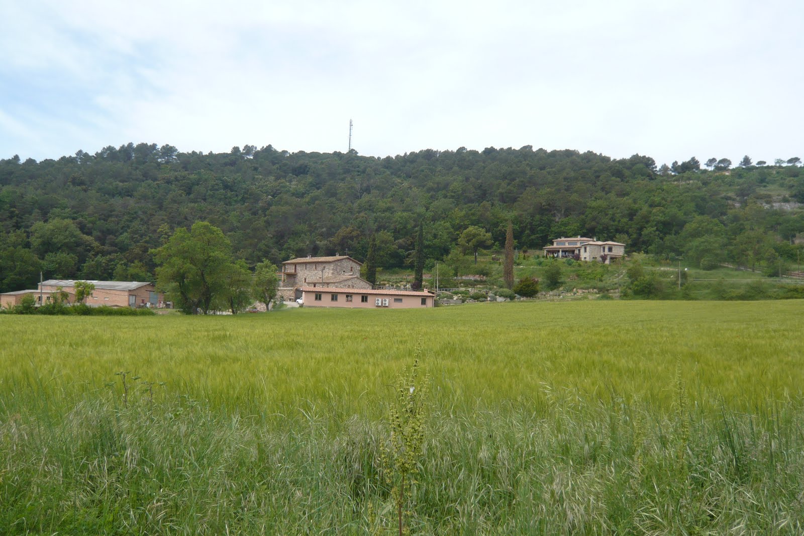 Vacaciones con perro: MOIÀ (CATALUNYA)