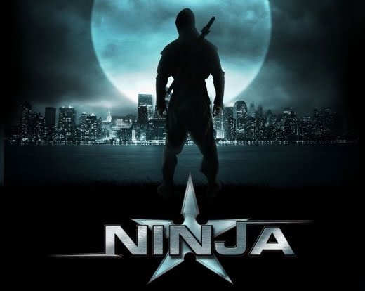 STUNNING HIT MOVIES: Ninja, Hollywood Movie (2009)
