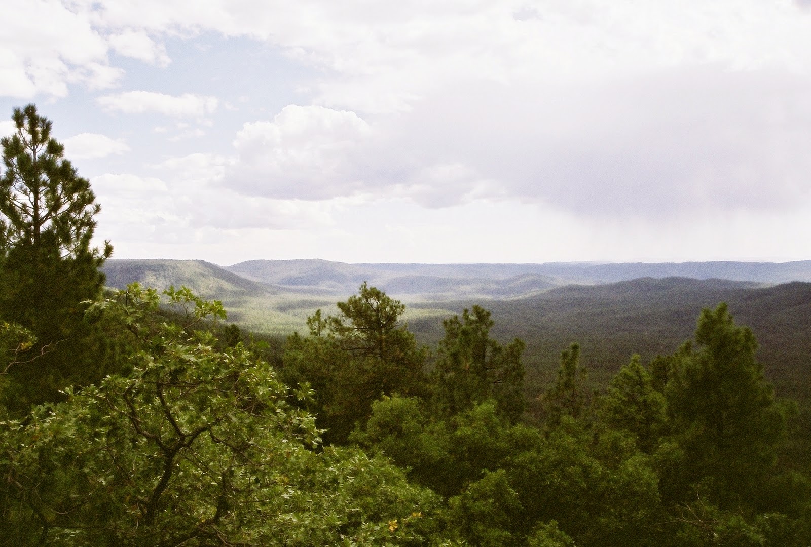 Creation Calls- The Four Corners: Arizona Mogollon Rim Country;The ...