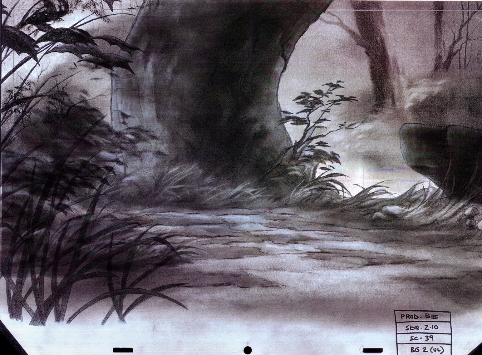 Andrew Wolf's Portfolio