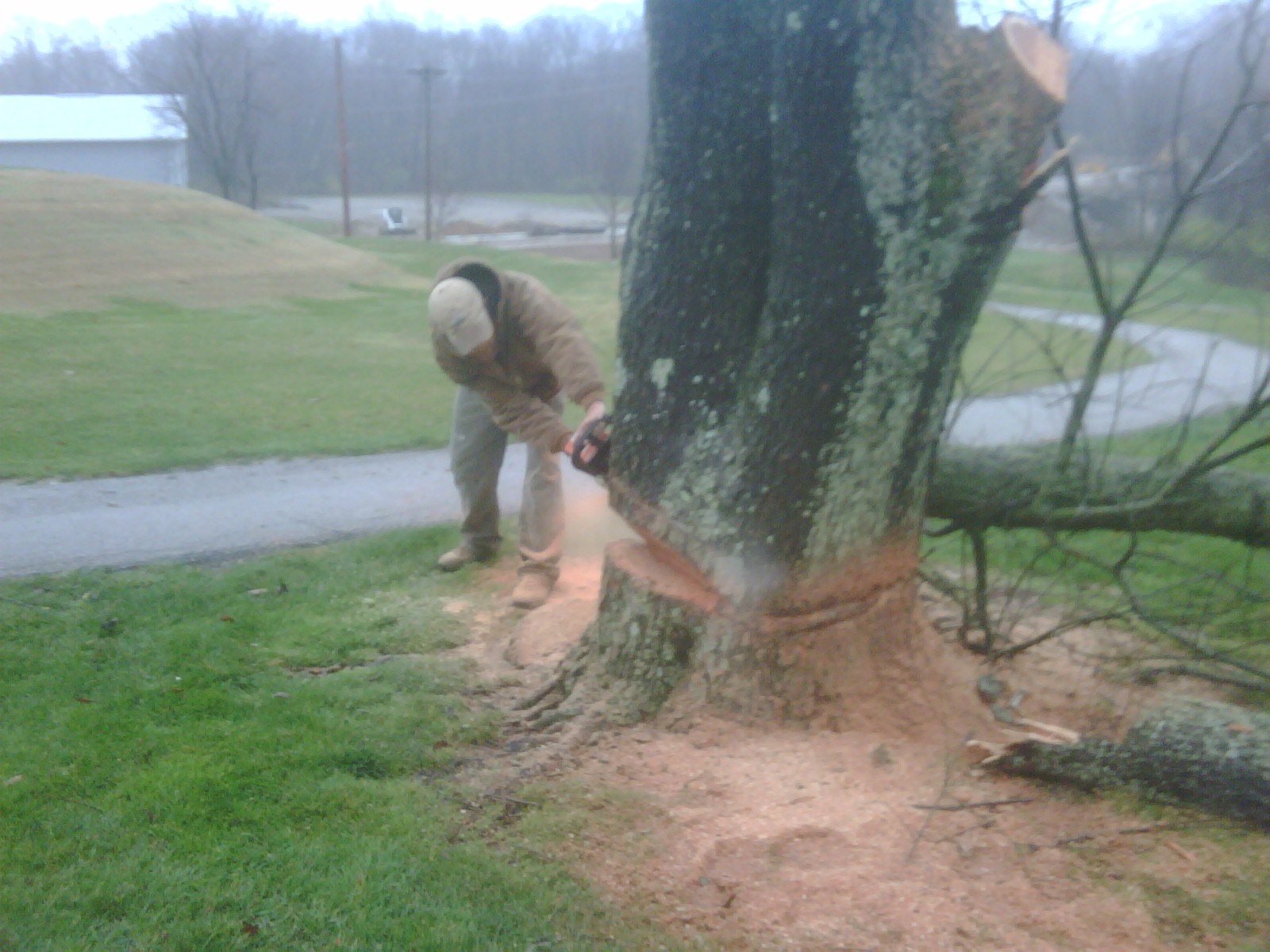 ROLLING HILLS GOLF COURSE: Winter Tree Removal