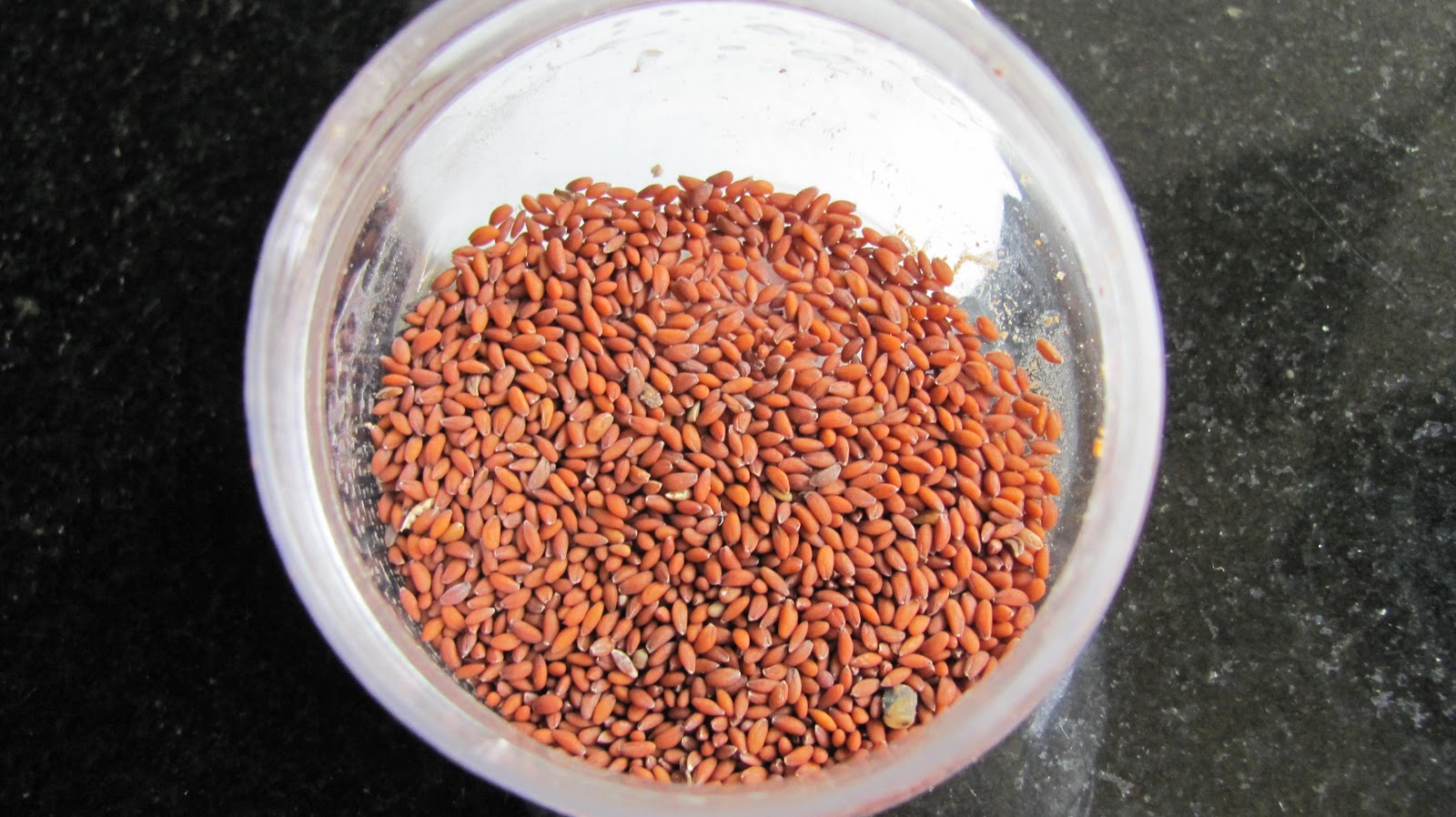 Tasty and Healthy: aleev ladoo (garden cress sweet balls)