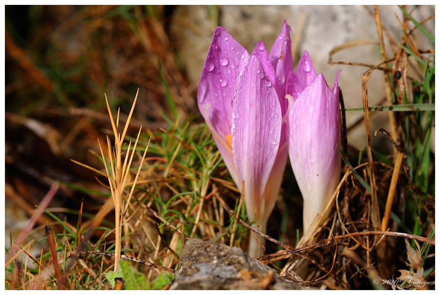 macroinstantes: octubre 2010