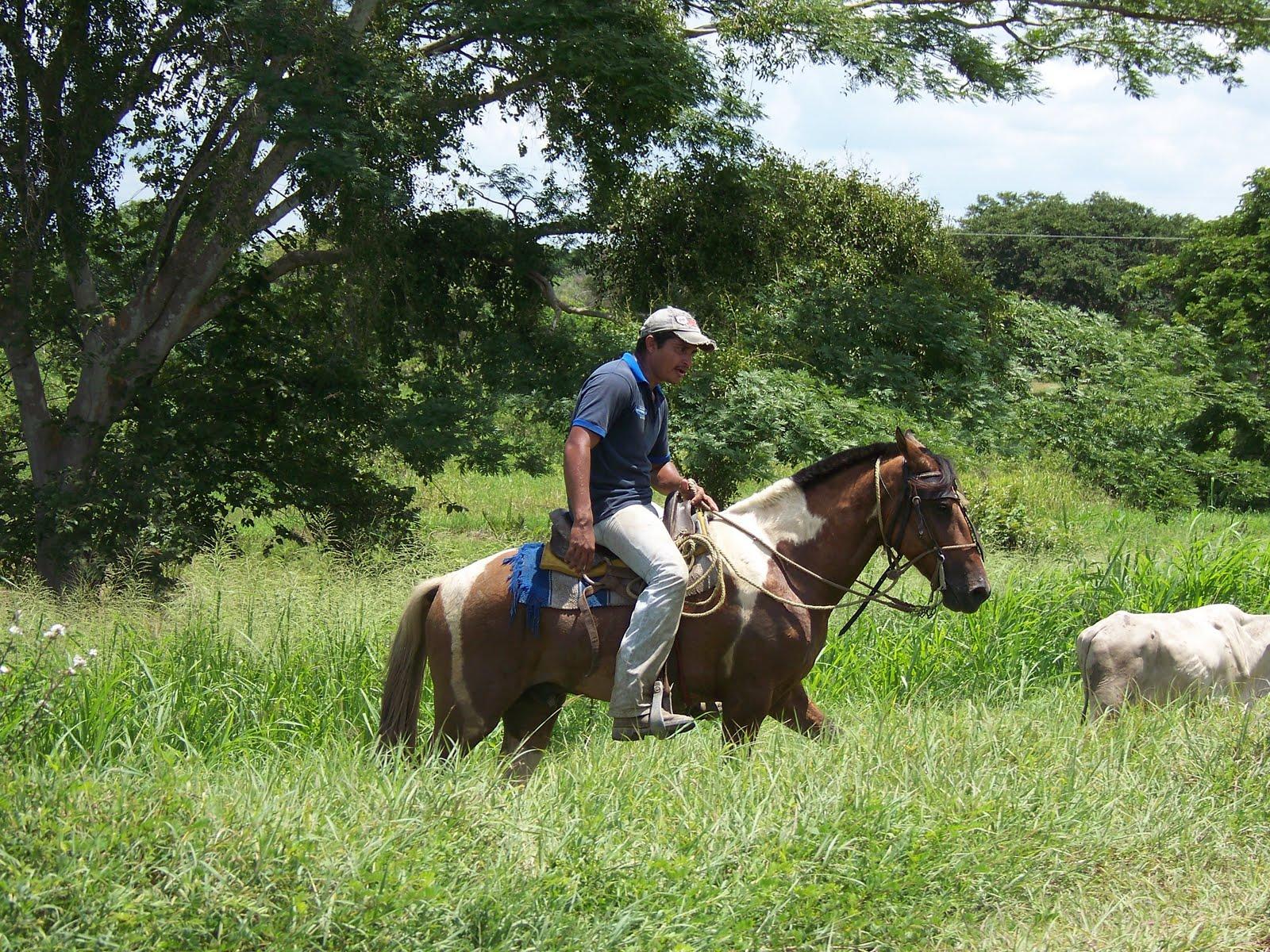 del guárico para el mundo: UN LLANERO EN LA CAPITAL (Relato Costumbrista)