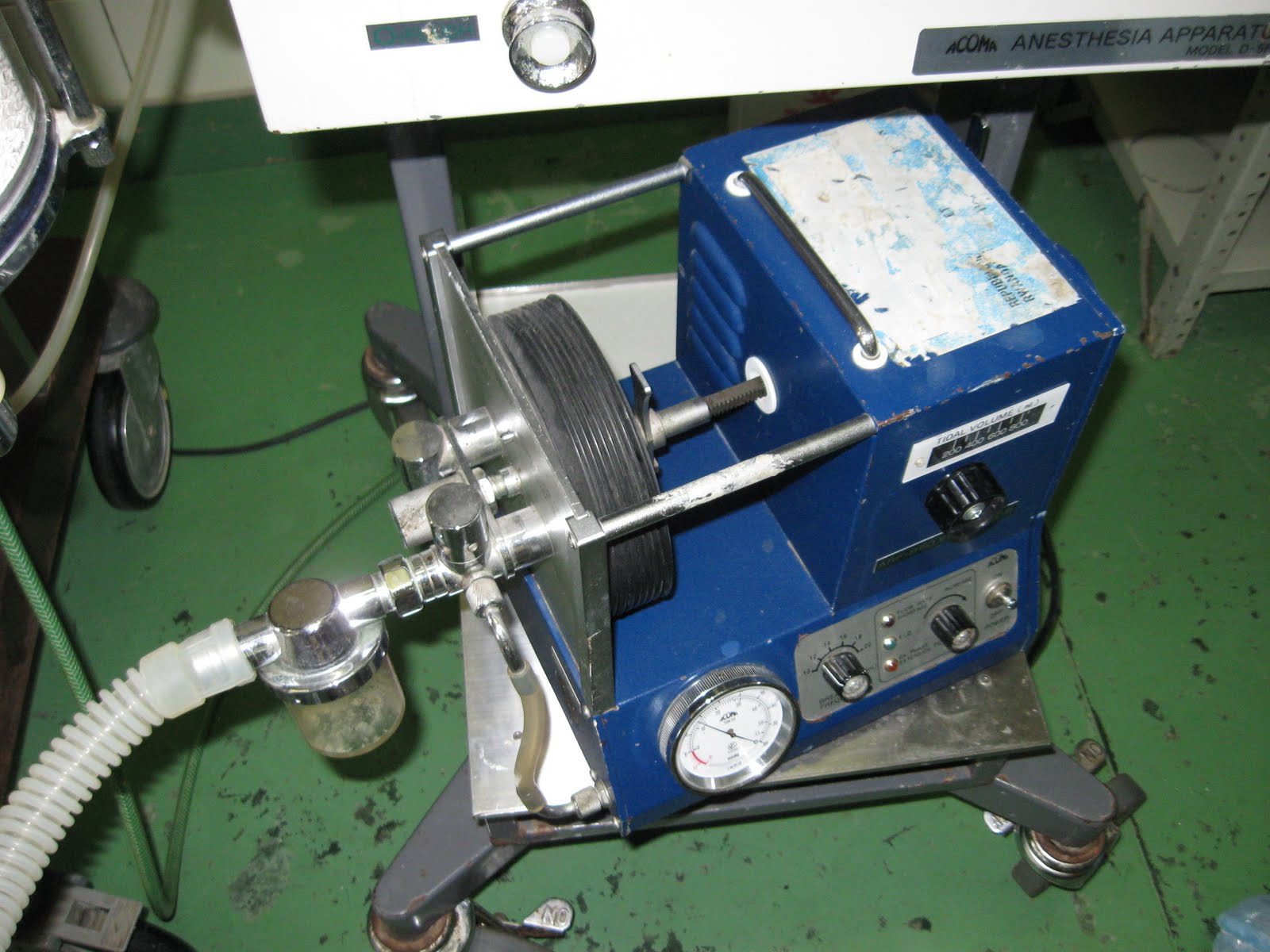 Patty and Shannon in Rwanda: Butare teaching and further animal adventures