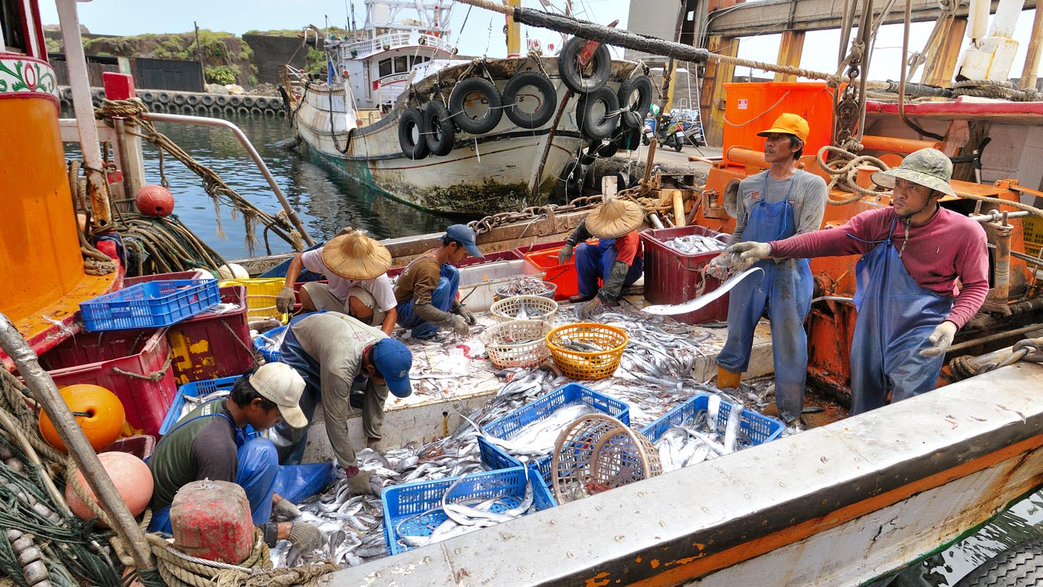 The Amazing Life: ABC Wednesday: F is for Fisherman