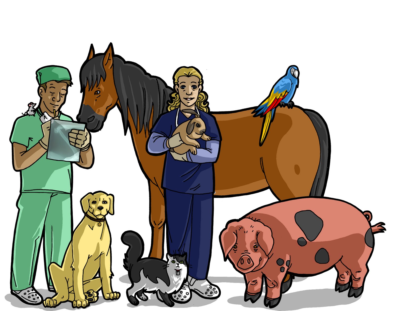My Sketchblog: Vet illustrations Mark 2
